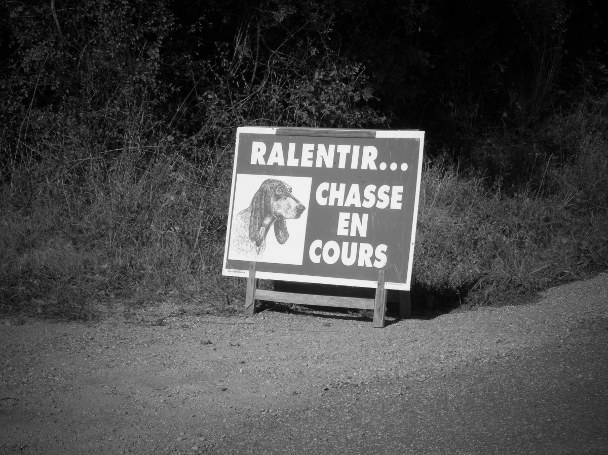 Cee’s Black and White Challenge – Signs – Tapir Crossing and Fox ...