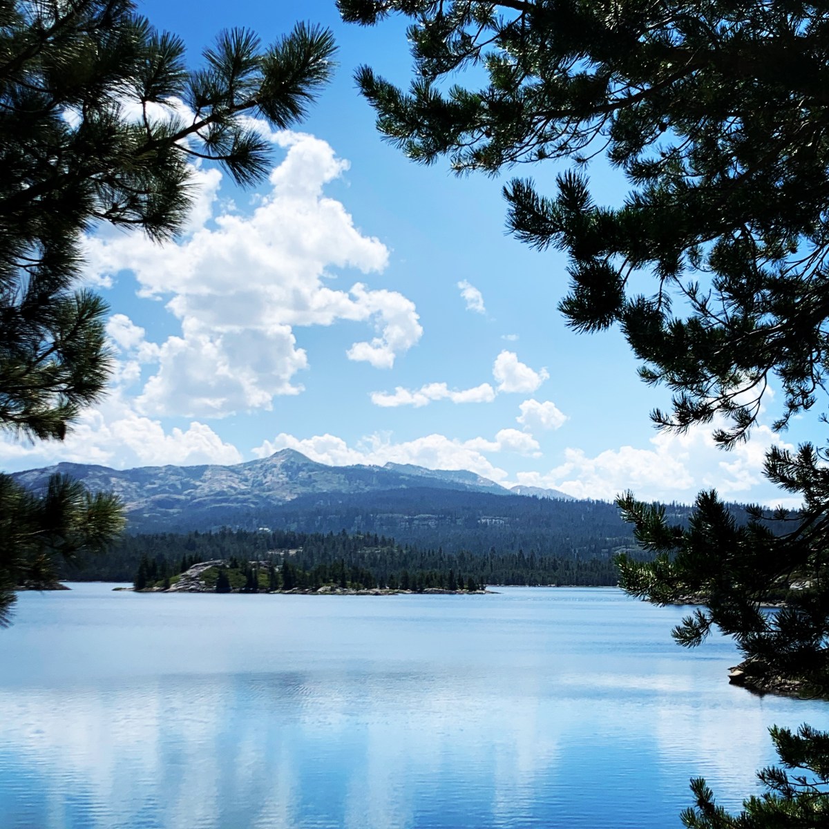 Loon Lake Ashes | Bulldog Travels / Photos By Jenny